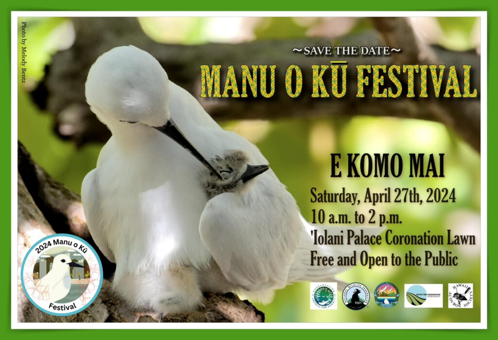 Manu O Kū Festival (Oʻahu) – Hawaiʻi Audubon Society