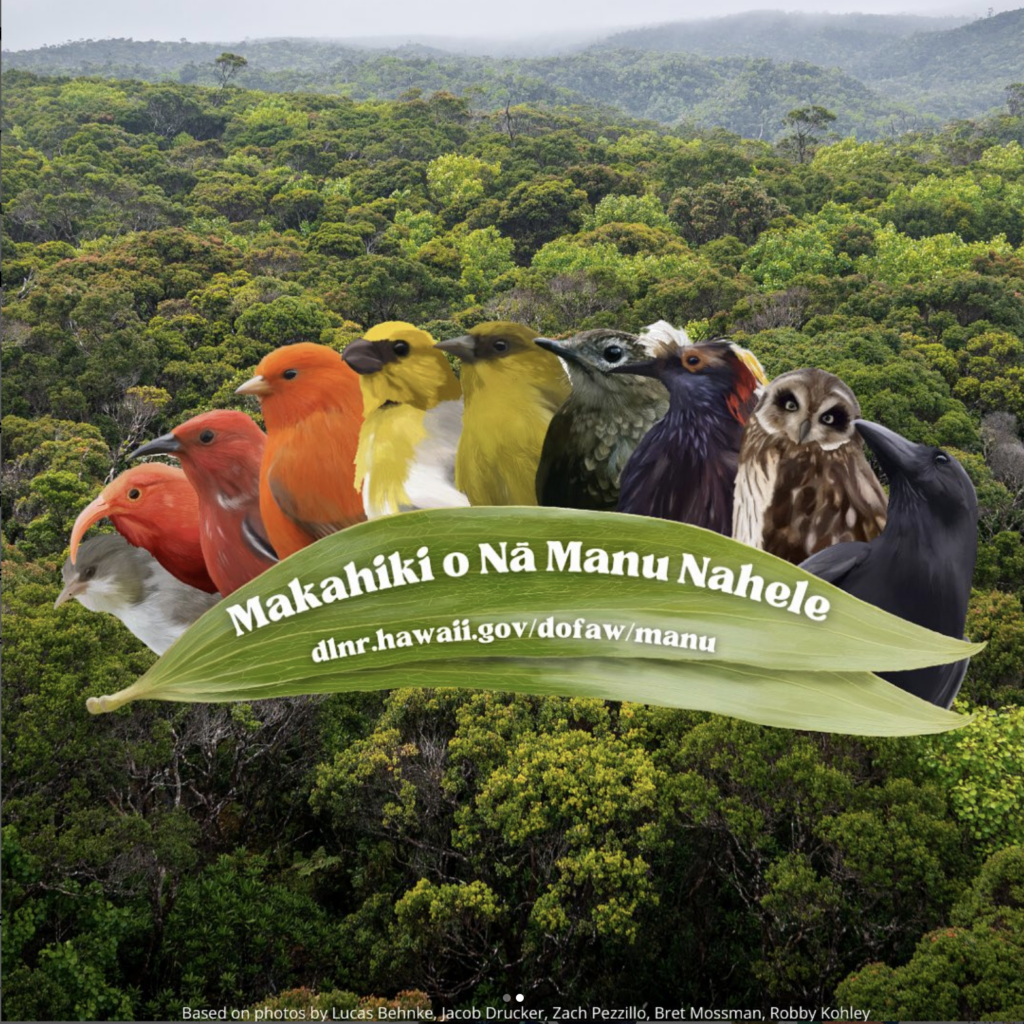 Learning Resources – Hawaiʻi Audubon Society