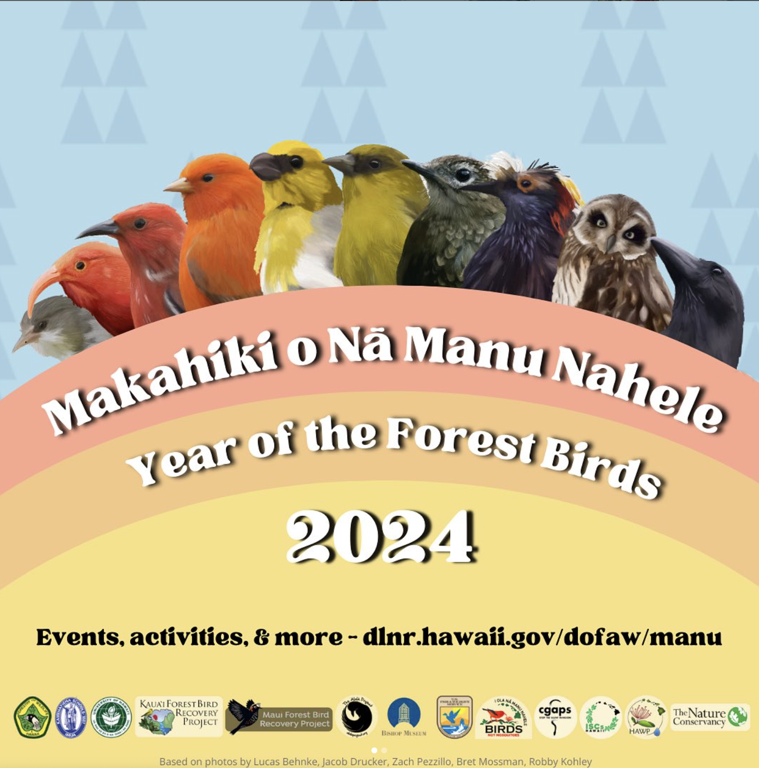 Celebrate and learn about forest birds – Hawaiʻi Audubon Society