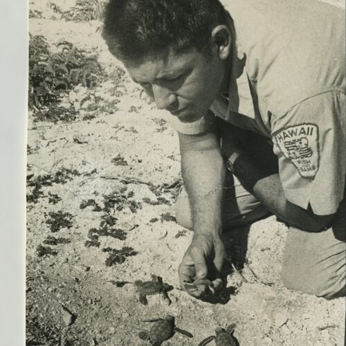 Remembering Ron – Hawaiʻi Audubon Society