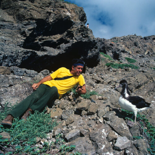 Remembering Ron – Hawaiʻi Audubon Society