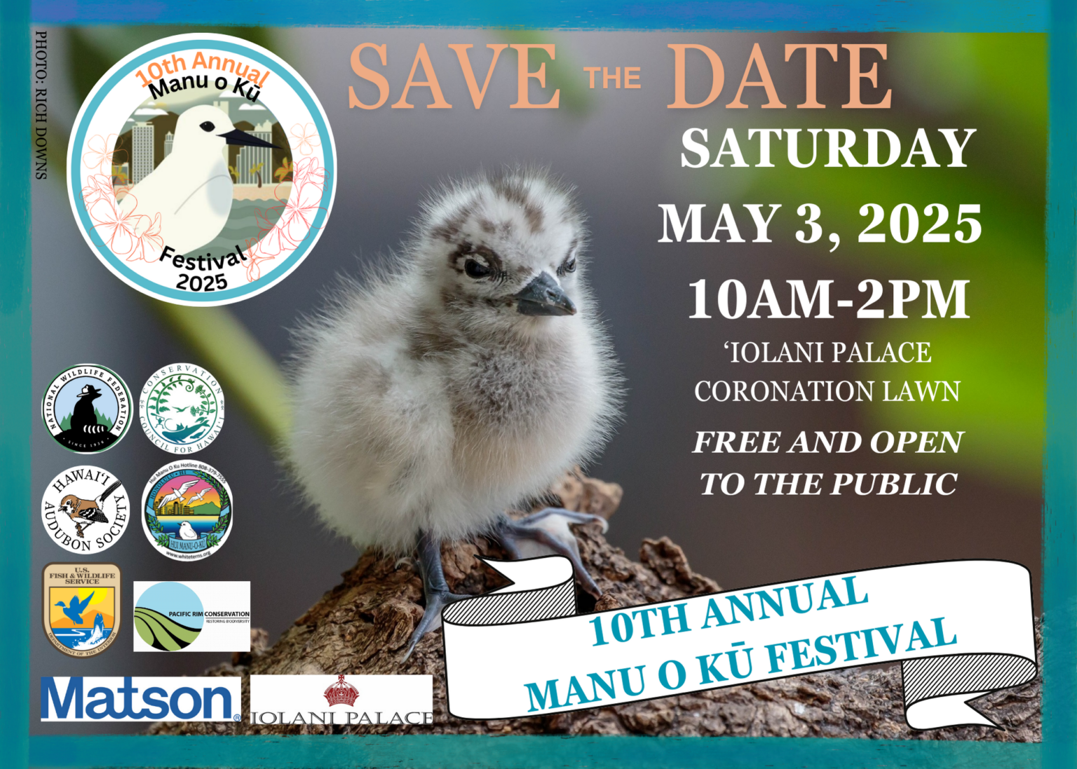 Manu o Kū Festival at ʻIolani Palace (Oʻahu) – Hawaiʻi Audubon Society